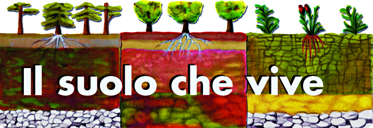 Cos’è il suolo